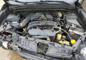 How To Tell If You Have A PZEV Engine? All You Need To Know